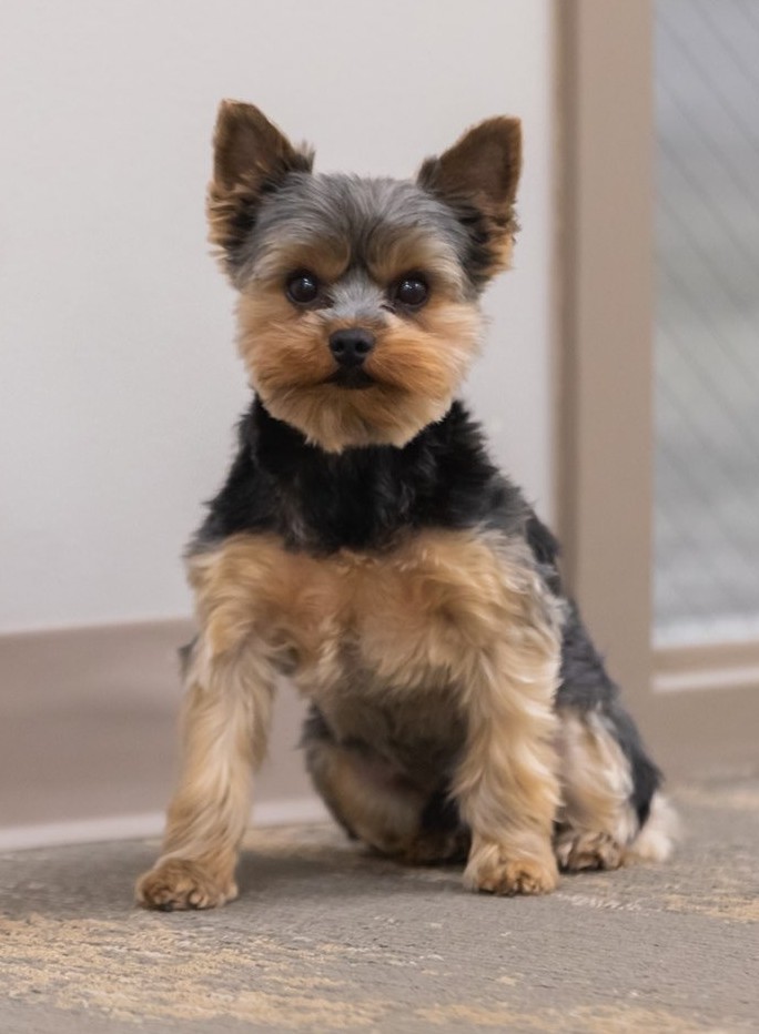 Teddy | AMC Engineers